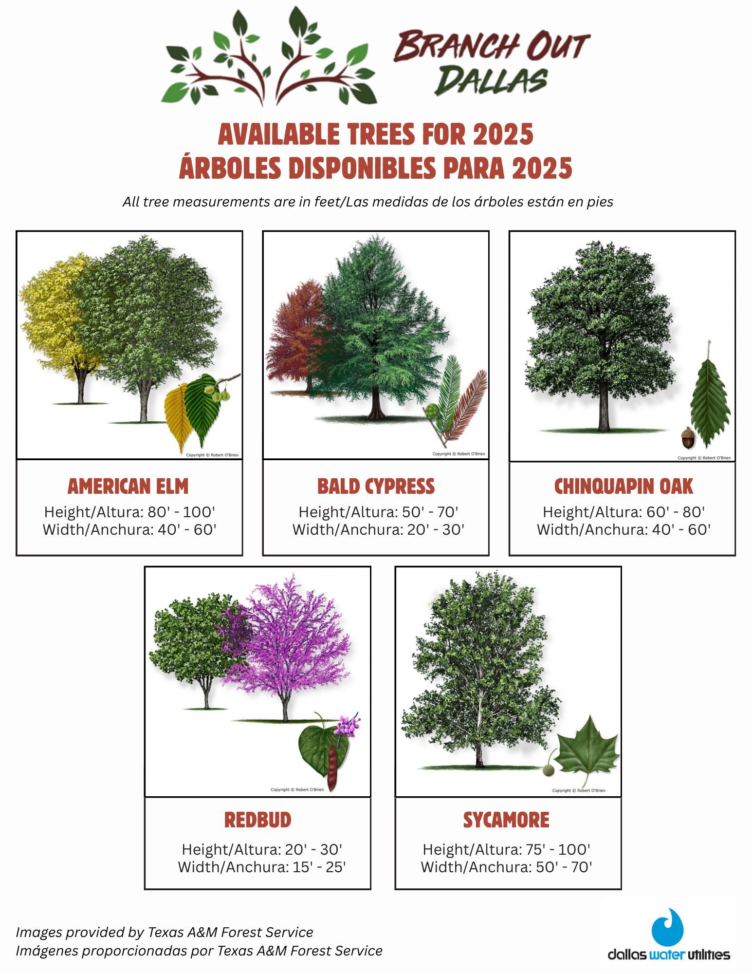 Water Utilities Branch Out Dallas